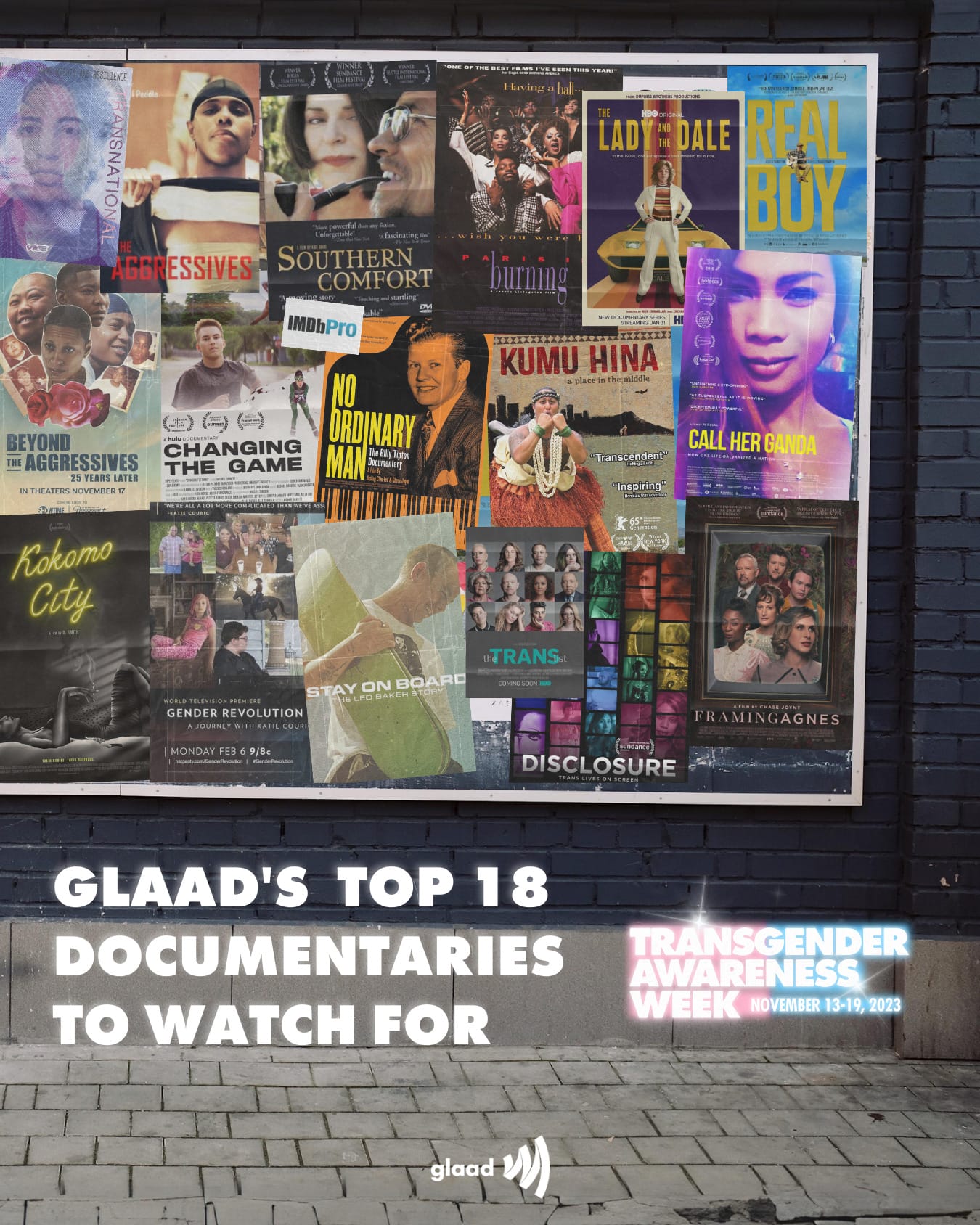 Must-Watch Films for Trans Awareness Week Curated in Partnership with ...